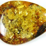 Amber Information: The Organic Gemstone | Gem Rock Auctions
