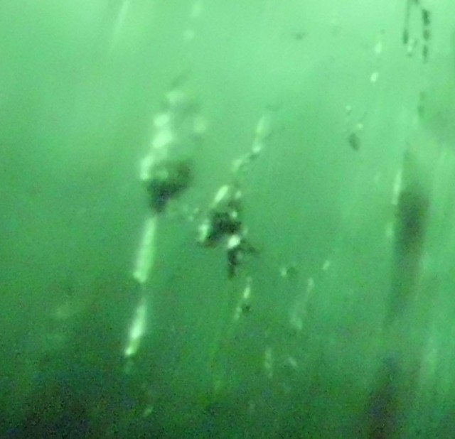 Emerald Inclusions - The Inner World of Emeralds | Gem Rock Auctions