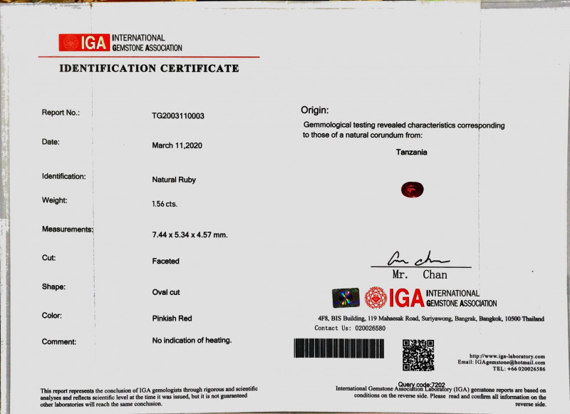 IGA Certified 1.56 Carats Natural Ruby Gemstone