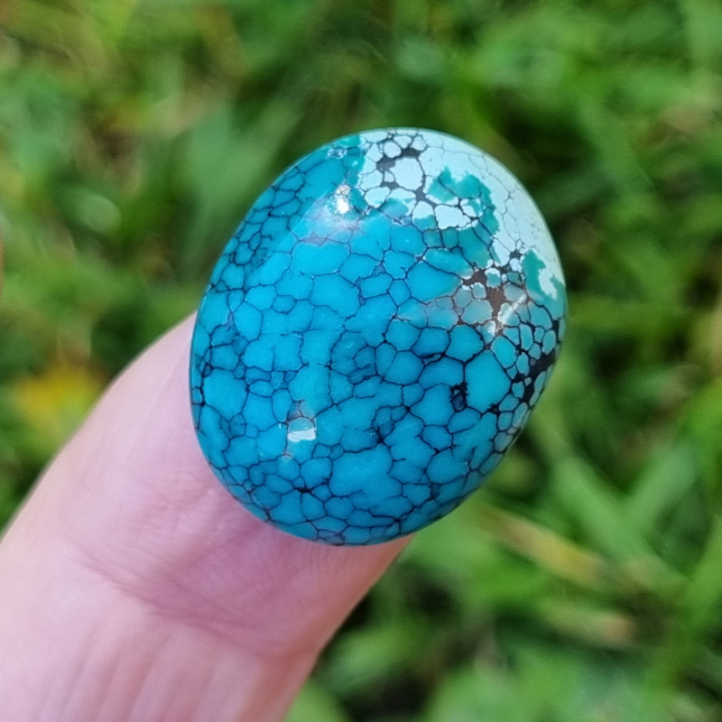 20mm Tibetan Turquoise oval cabochon untreated spiders web 14.2ct approx