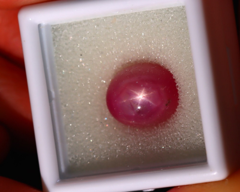 Star Ruby 10.11Ct Purple Star Ruby EN97/A20