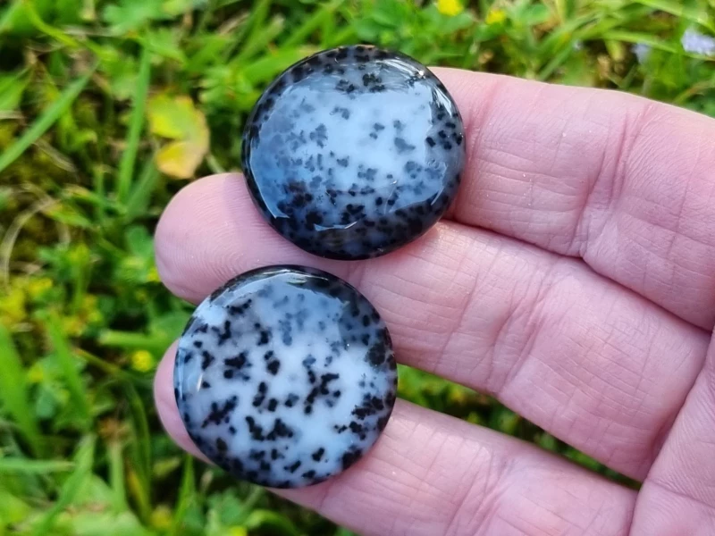 24mm DENDRITIC AGATE Merlinite Pair round cabochon black white