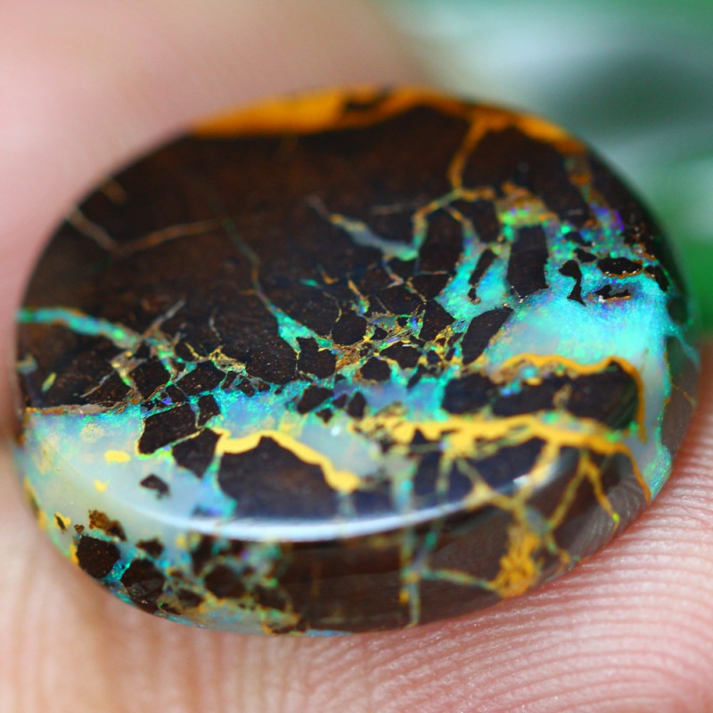 12.86Ct Natural Queensland Koroit Boulder Oval Polished Opal F1036