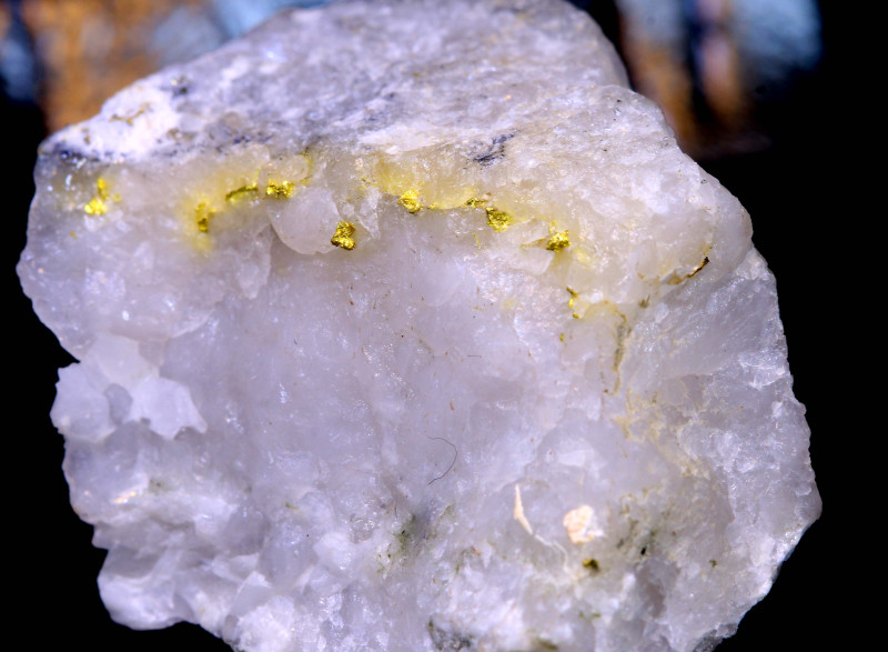 100.5CTS- Quartz-Gold Specimen Australia TBM-2432 trueblueminerals