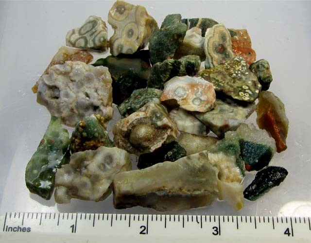 230 GRS OCEAN JASPER ROUGH MS 1027