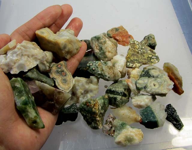 230 GRS OCEAN JASPER ROUGH MS 1027