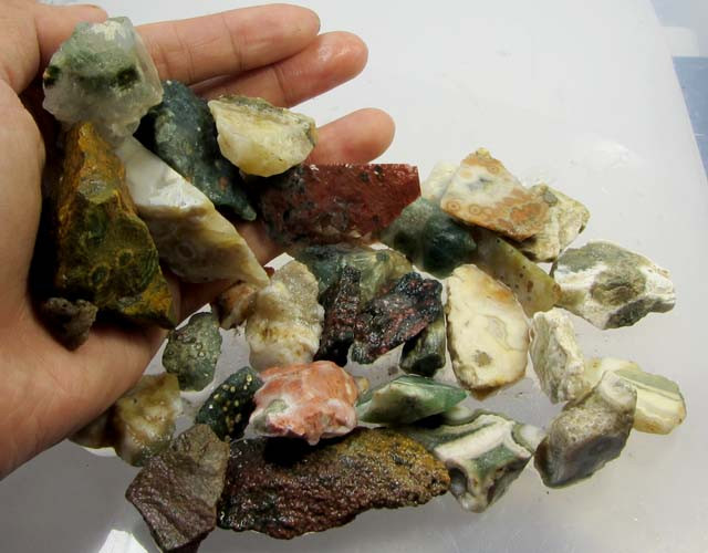 232 GRS OCEAN JASPER ROUGH MS 1028