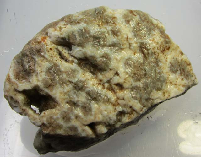 900 GRS OCEAN JASPER ROUGH MS 1032