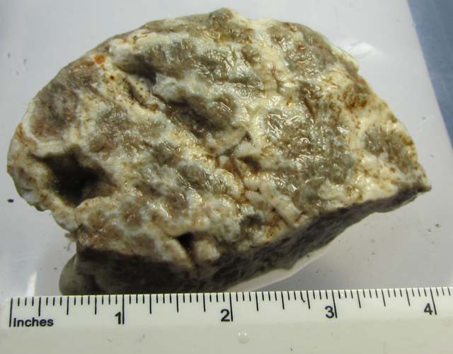 900 GRS OCEAN JASPER ROUGH MS 1032
