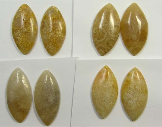 64 CTS PAIRS NATURAL CORAL FOSSIL STONES MS1069