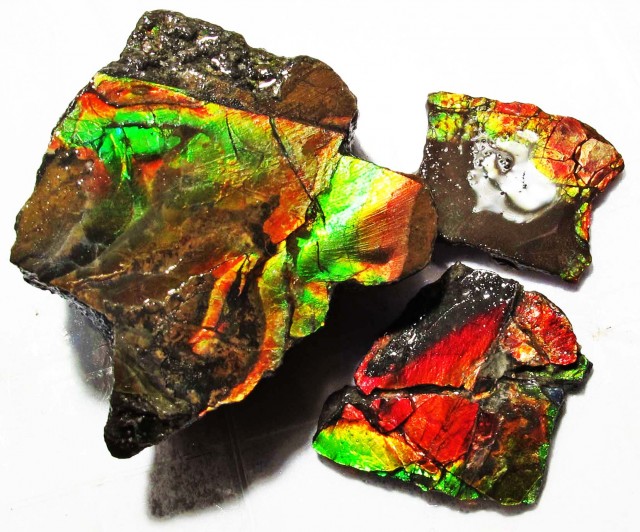 Ammolite Rough - Buy Ammolite Rough Online | Gem Rock Auctions