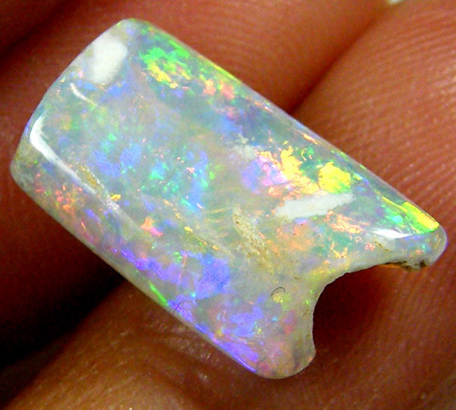 Opalized Fossil