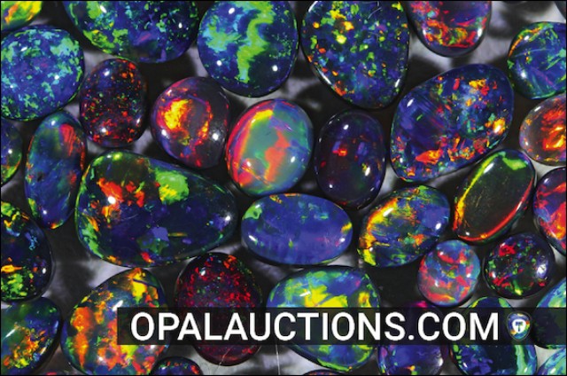 Opal Auctions Verified Sellers