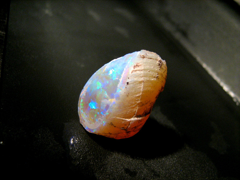 Jewelry & Beauty Natural Australian opal shell Jewelry Making & Beading ...