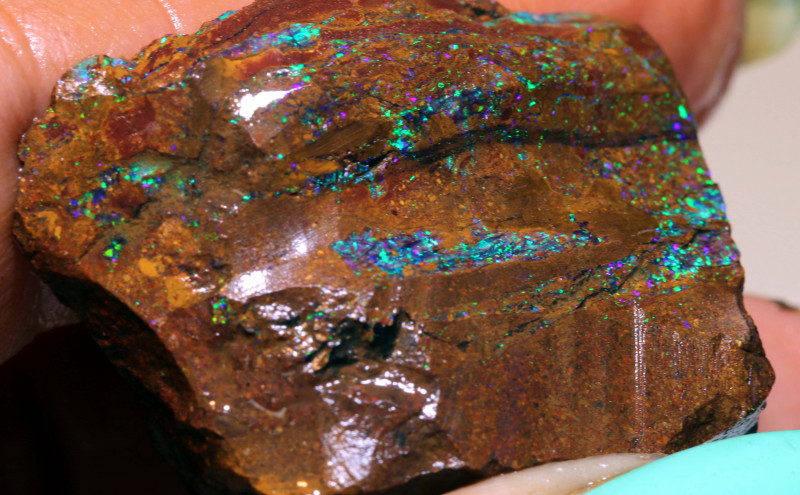 136.0CTS -BOULDER OPAL WOOD FOSSIL FO-2021 fossil opals