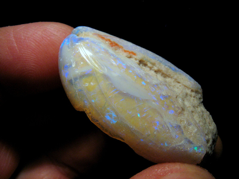 Rare Opal Shell Gem Australian Collectors Specimen