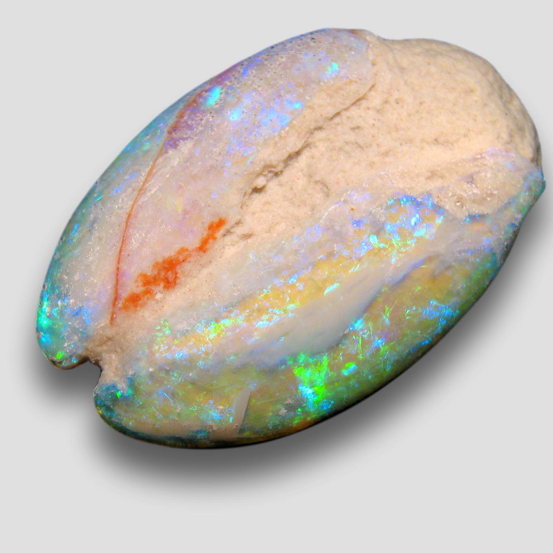 Rare Opal Shell Gem Australian Collectors Specimen