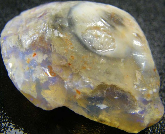 NATURAL OPAL SHELLS-- 48 CTS [SP2246]