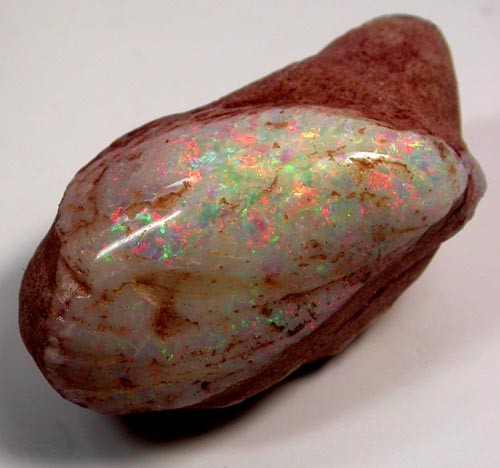 Loose Opal Shells For Sale Online | Opal Auctions