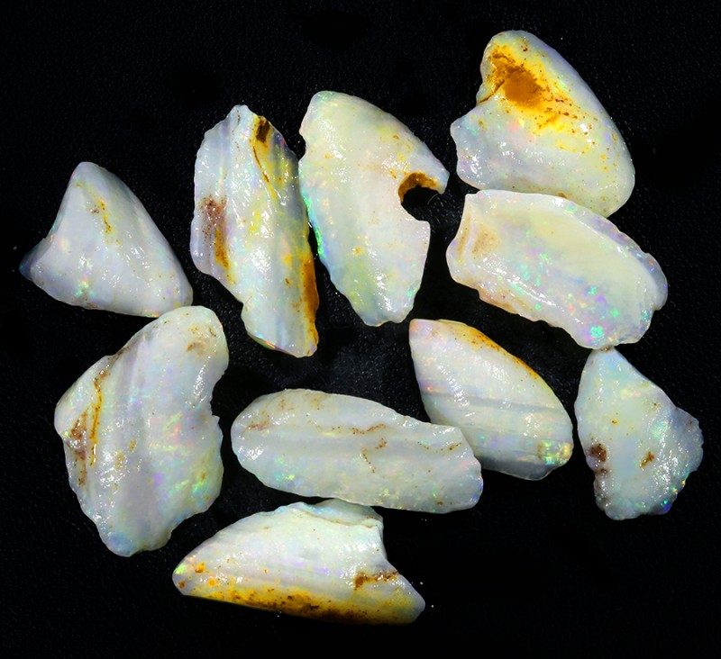62.10Cts 10pcs Opalized clean shell opal rough parcel