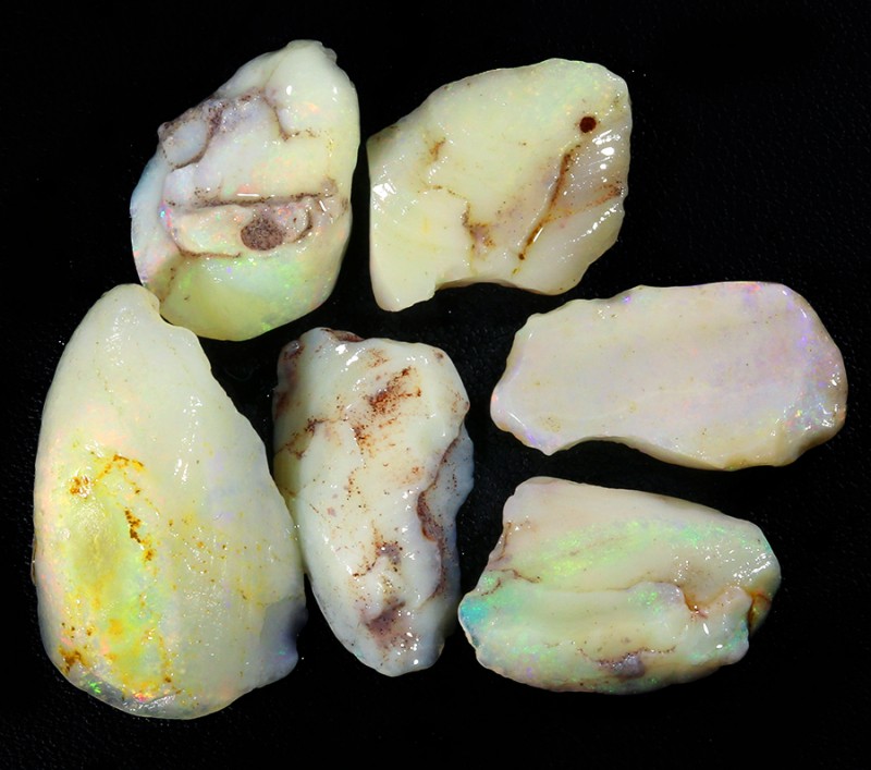 71.25Cts 6pcs Opalized clean shell opal rough parcel SU1346